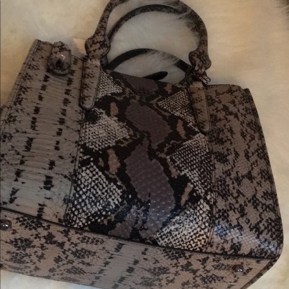 Coach | Bags | Authentic Coach Snake Print Nwt | Poshmark